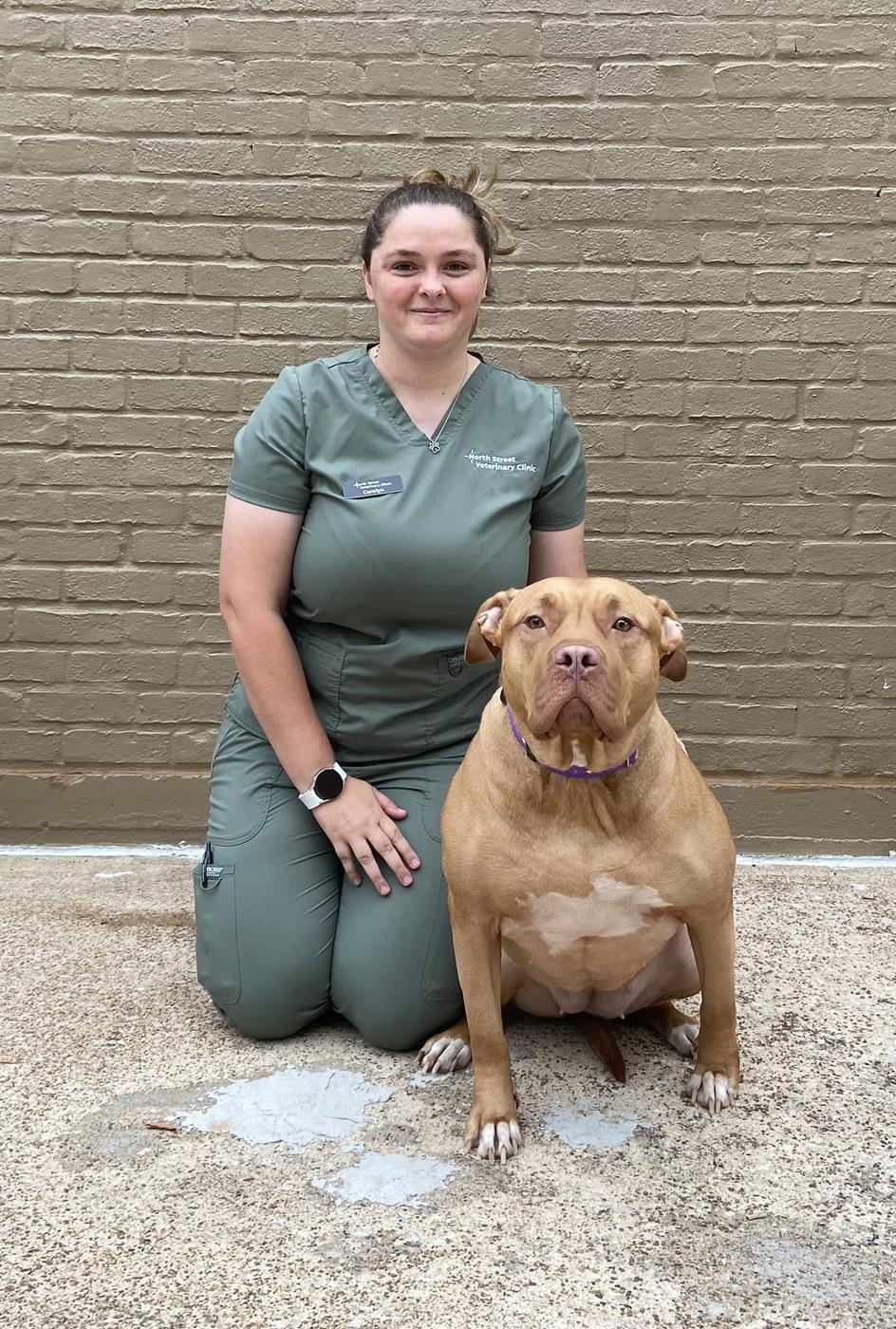 Our Team | North Street Veterinary Clinic